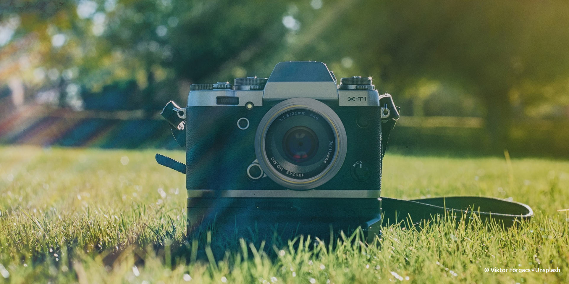 2020 Highlights of IFOAM - Organics International | IFOAM