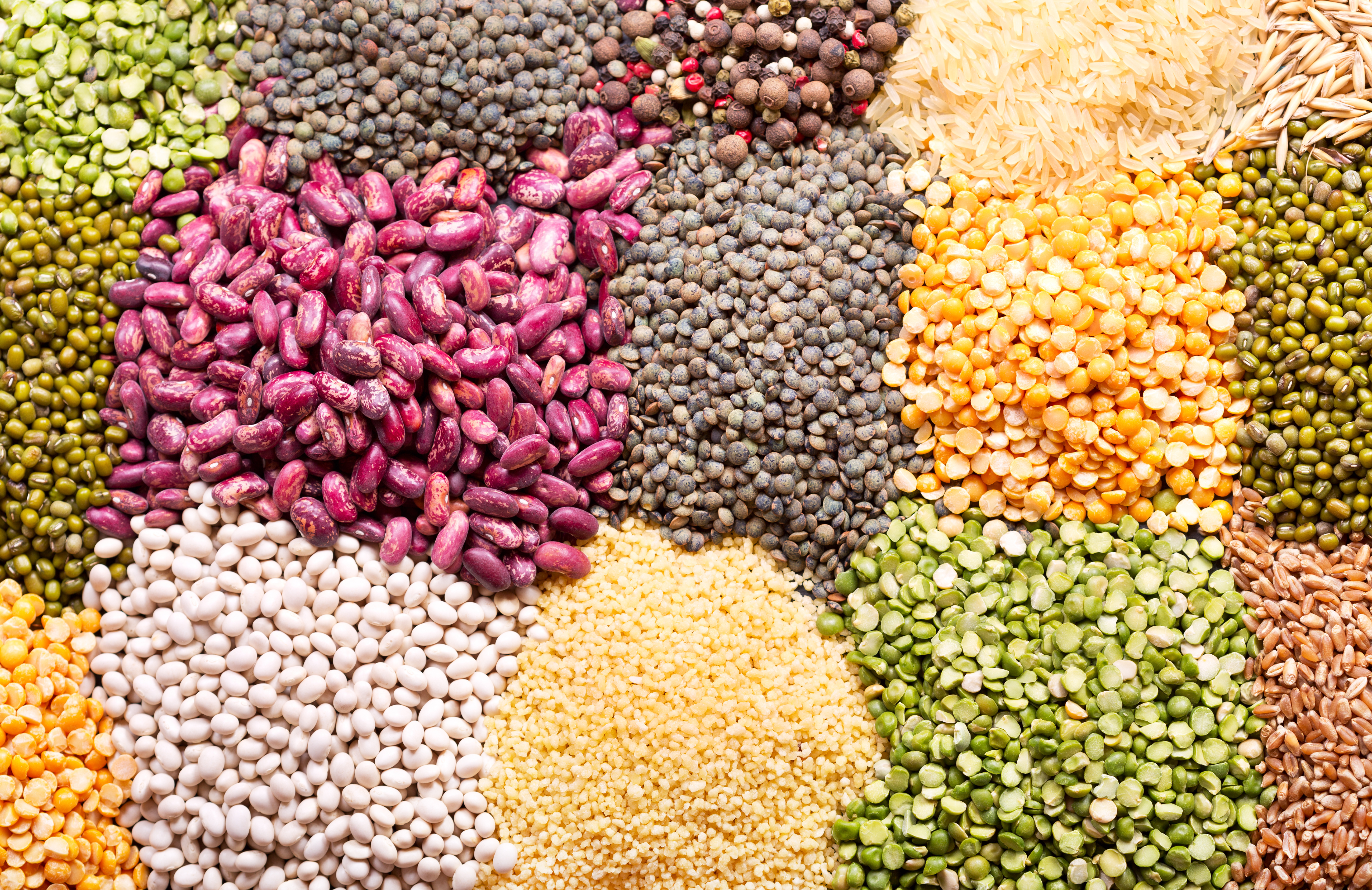 Our Seeds, Our Future: Protecting Biodiversity and Farmers' Rights | IFOAM