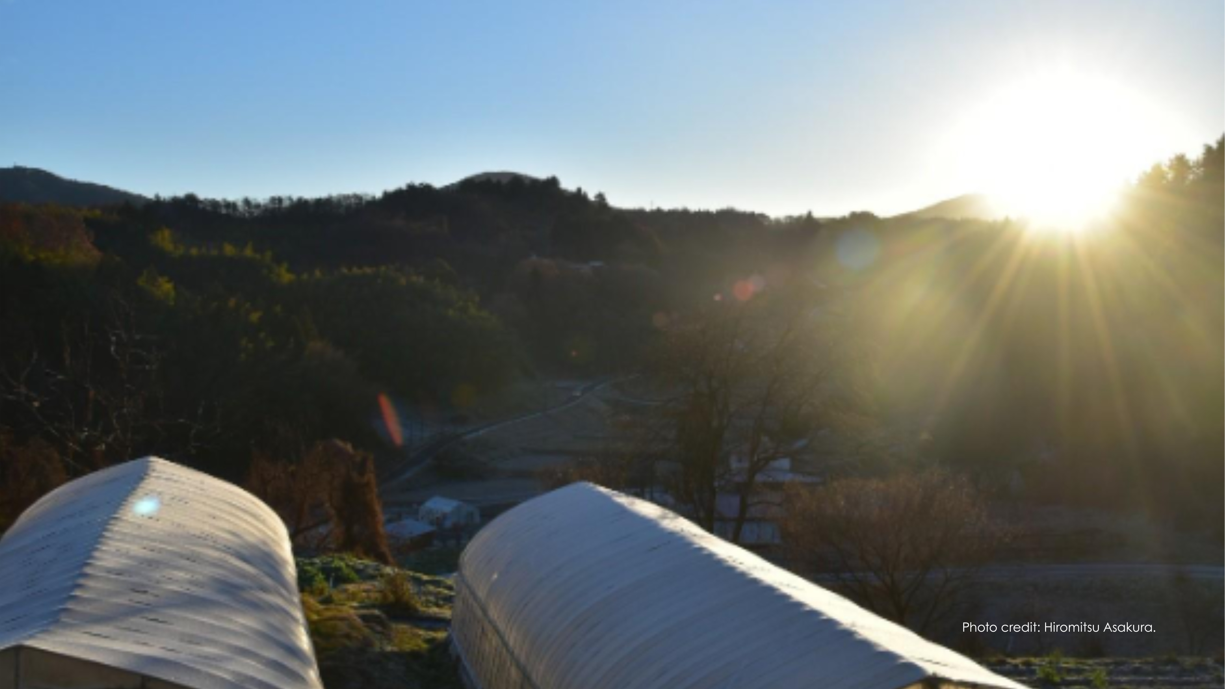 Japan’s Road to a Sustainable and Organic Future | IFOAM