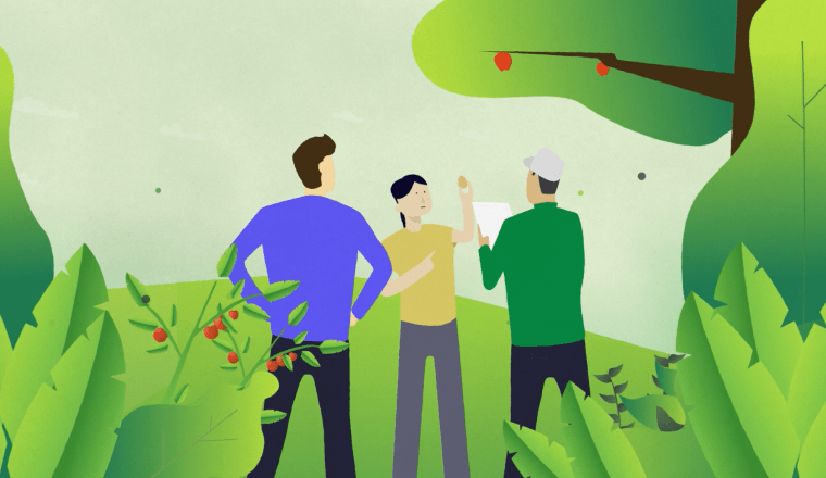 Participatory Guarantee Systems | IFOAM