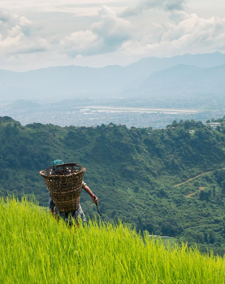 Himalayan Agroecology Initiative: Towards Common Roadmaps for ...