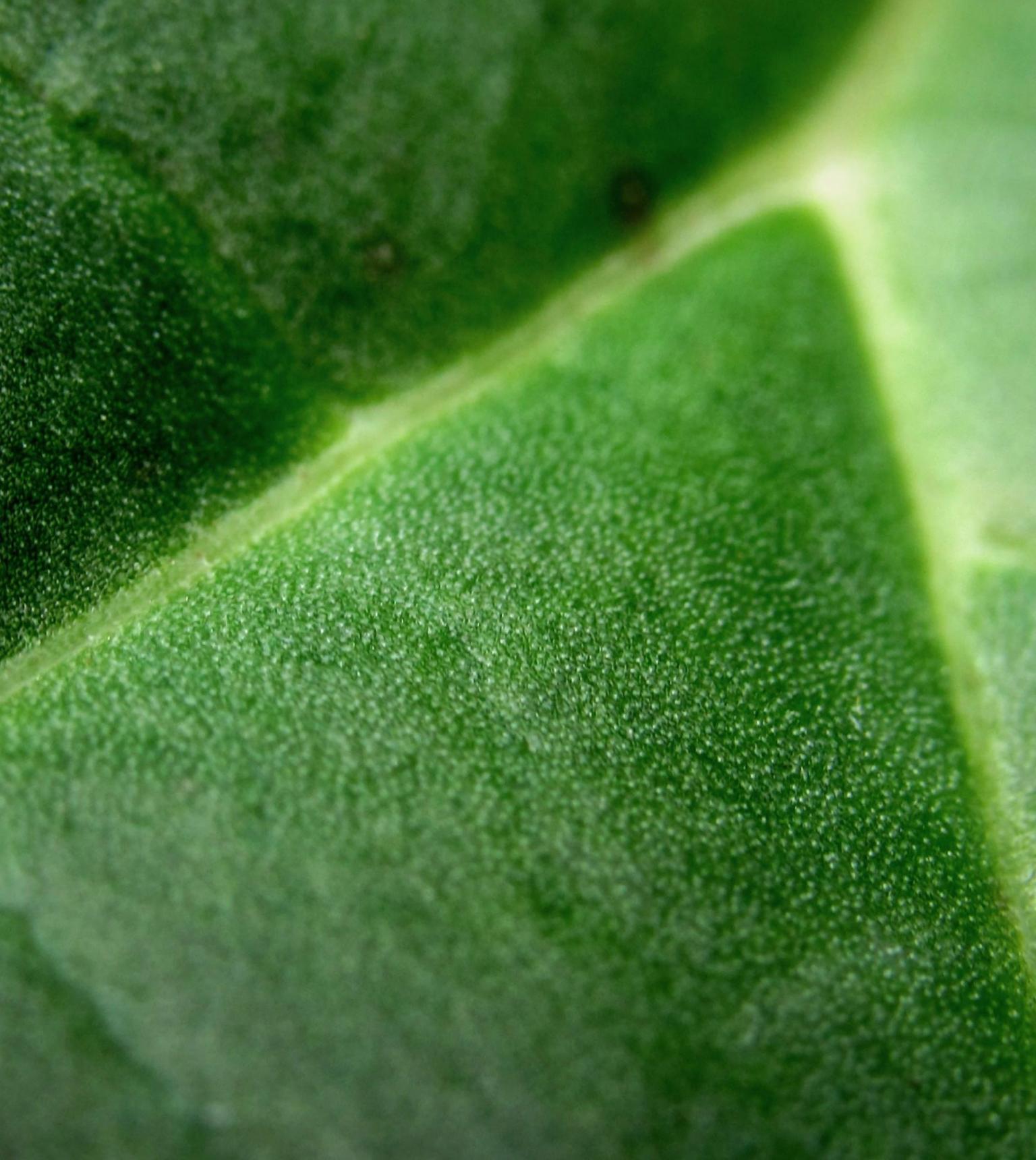 IFOAM - Organics International | Home