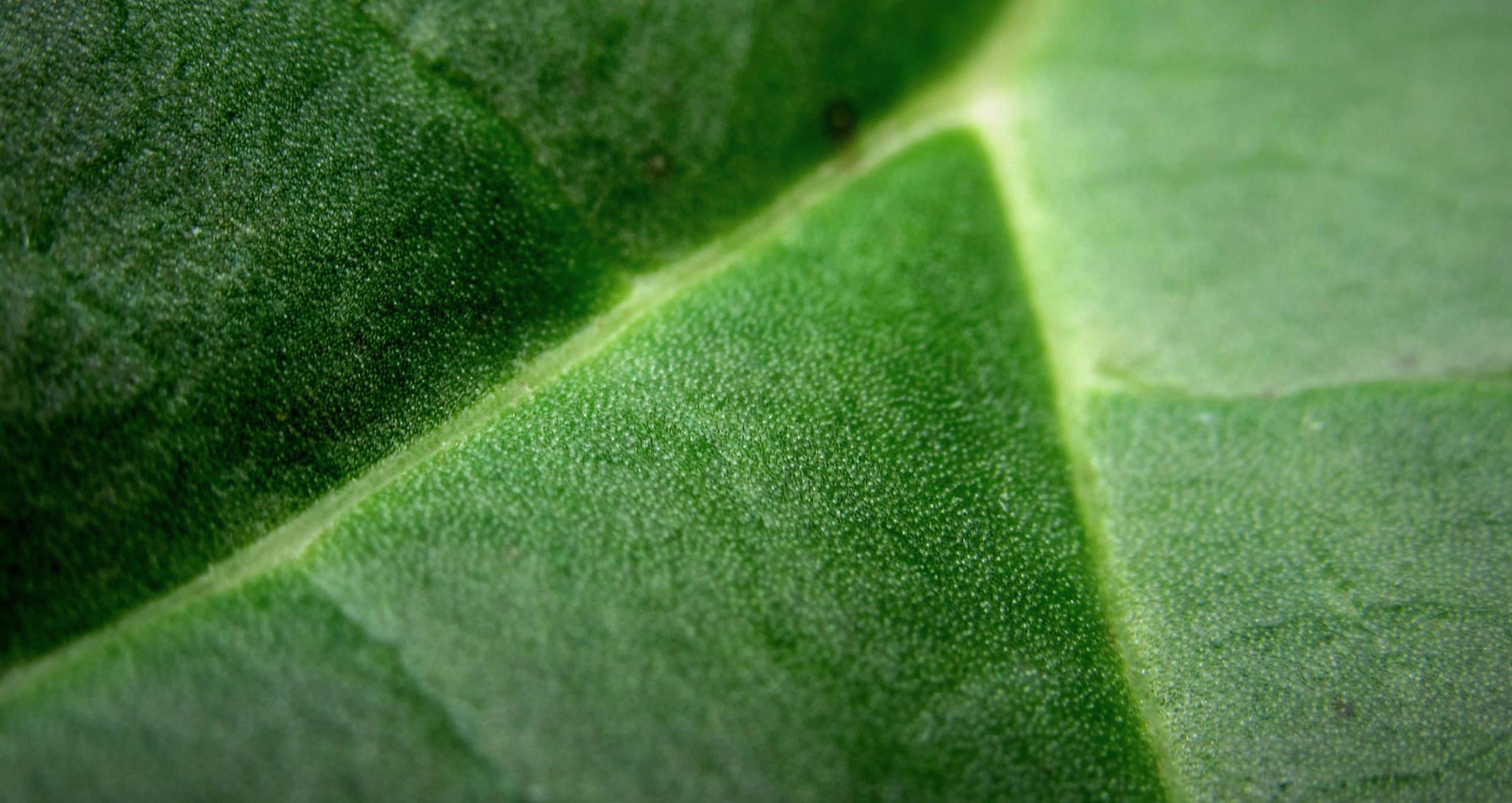 IFOAM - Organics International | Home