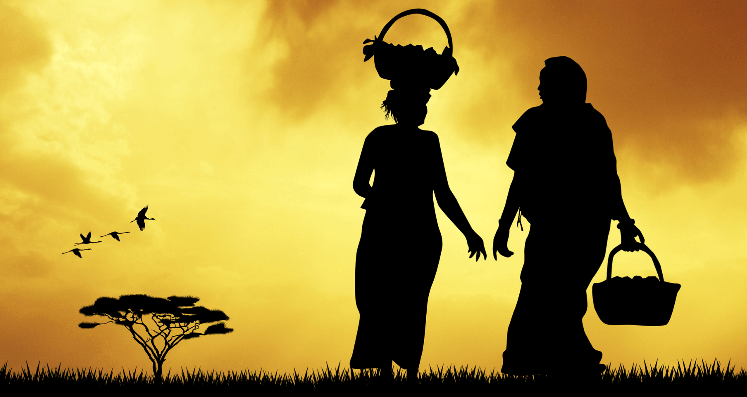 Strengthening Livelihoods | IFOAM