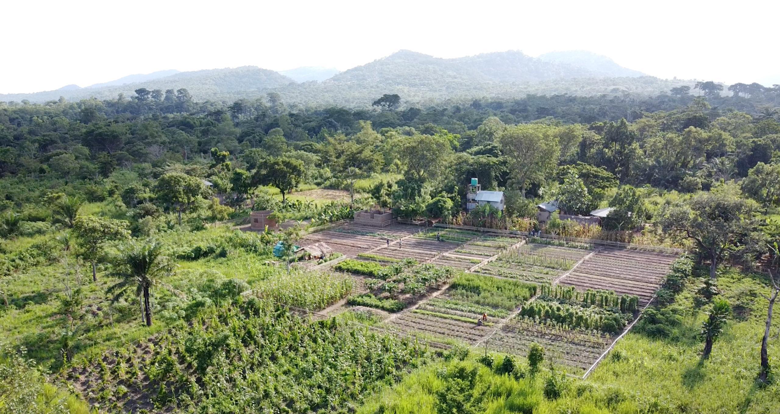 A Global Overview of Participatory Guarantee Systems | IFOAM