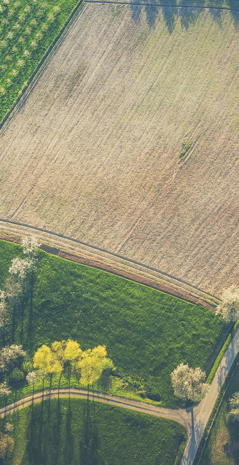 IFOAM - Organics International | Home