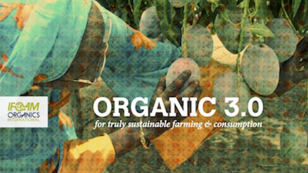 Network of IFOAM - Organics International - 2020 Regional Highlights ...